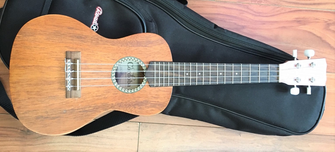 Used Guitars and Guitar Amps for Sale at Rogue Music Store