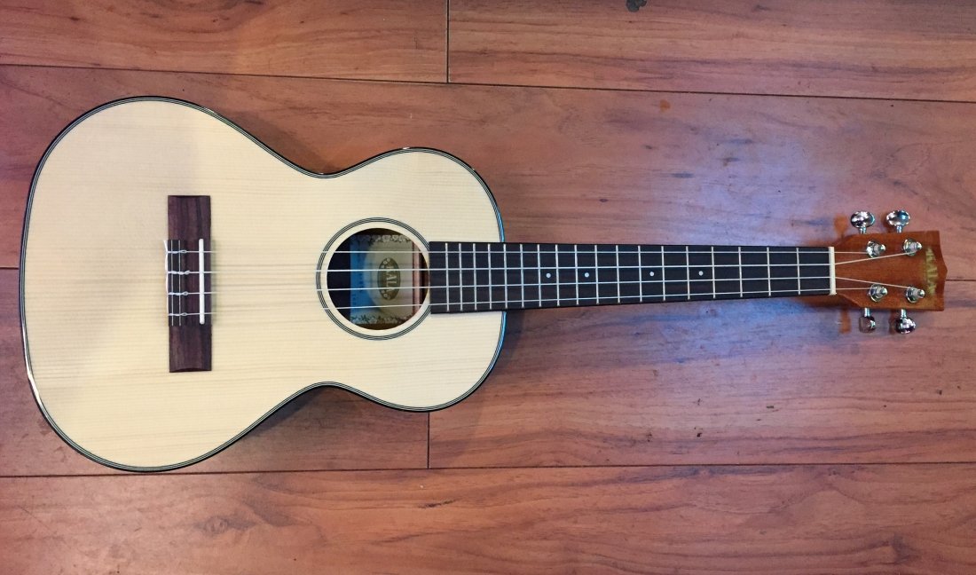 Used Guitars and Guitar Amps for Sale at Rogue Music Store