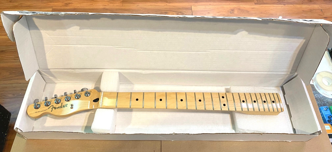 Used Guitars and Guitar Amps for Sale at Rogue Music Store